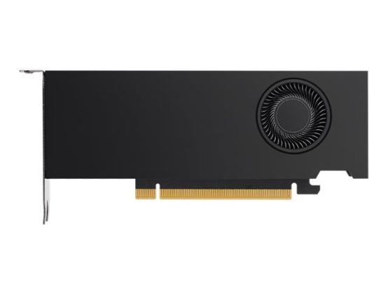 NVIDIA RTX A2000 - Graphics card - RTX A2000 - 12 GB GDDR6 - PCIe 4.0 ...